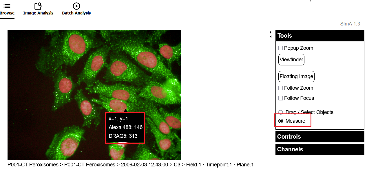 Image Artist: I'm using the "Measure" tool in the Browse and Image ...