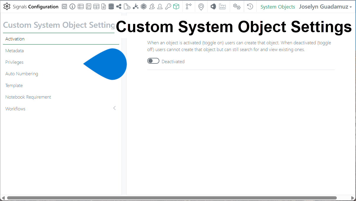Define user privileges on Custom System Objects from the Signals ...